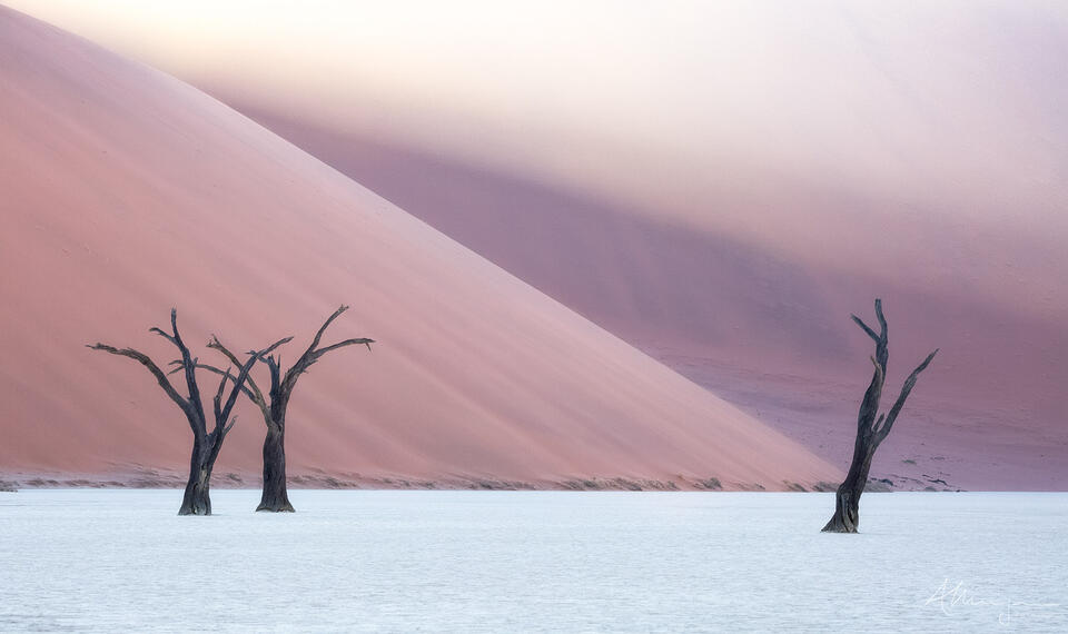 Ethereal Desert | Sossusvlei, Namibia | Anna Morgan Photography