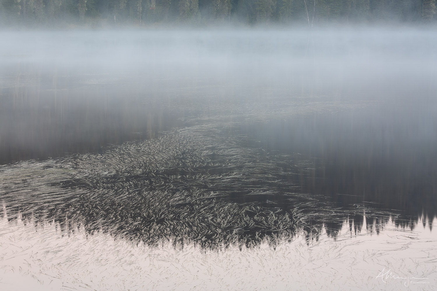 Threshold | Mt Rainier National Park | Anna Morgan Photography