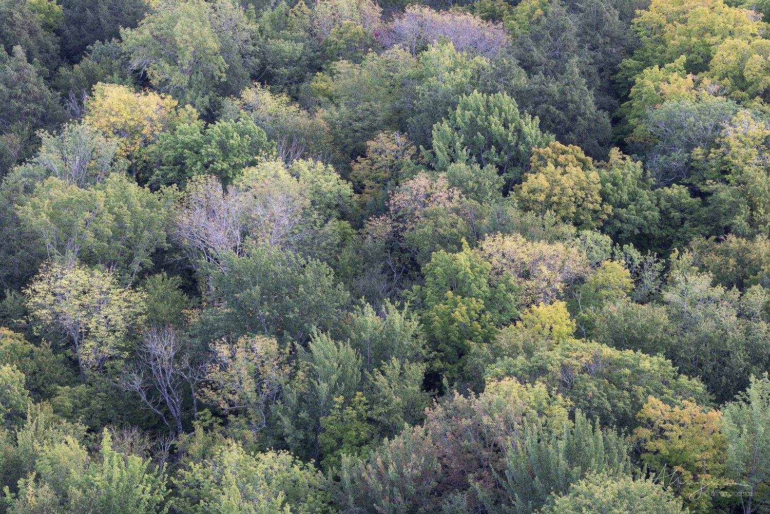 Patchwork II | Lake Superior, Michigan | Anna Morgan Photography